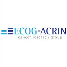 STOPGAP II Clinical Trial for Stomach Cancer (EA2234)